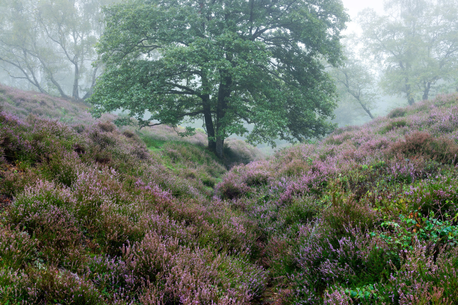 7 Tips for Creating a Sense of Depth in Your Landscape Photos | PetaPixel