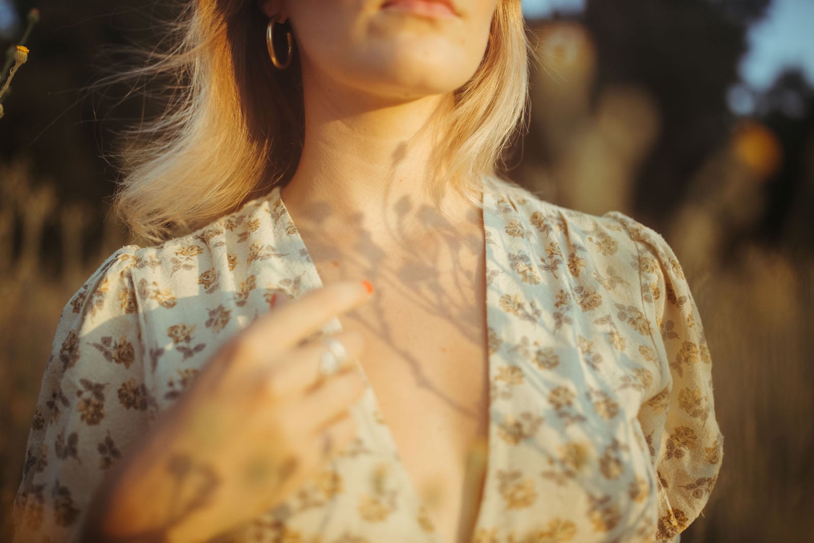 Moment Unveils CineBloom Diffusion Filters for ‘Dreamy, Film-Like Vibes ...