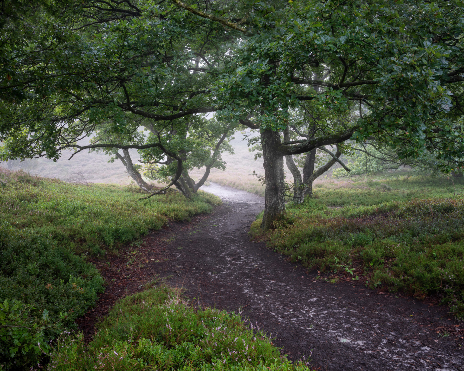 7 Tips for Creating a Sense of Depth in Your Landscape Photos | PetaPixel