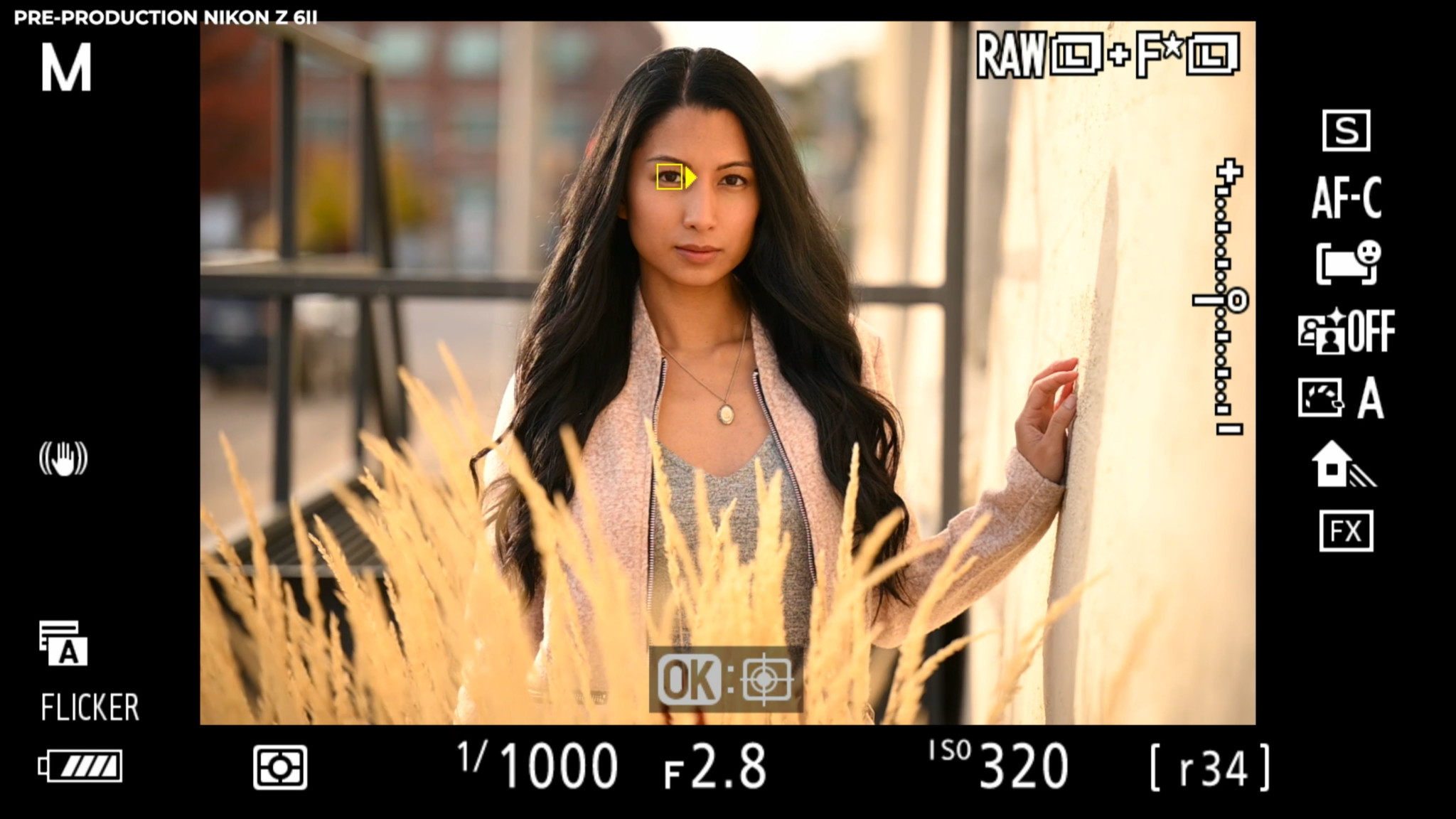 Nikon Z6 II Autofocus Test: A Solid Improvement Over the Z6 | PetaPixel