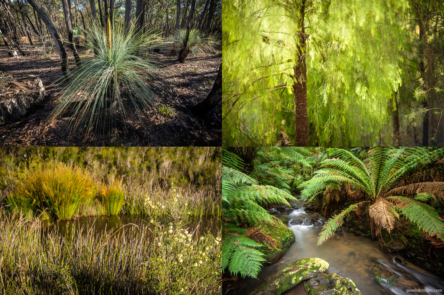 Photographing Every National Park in Victoria, Australia | PetaPixel