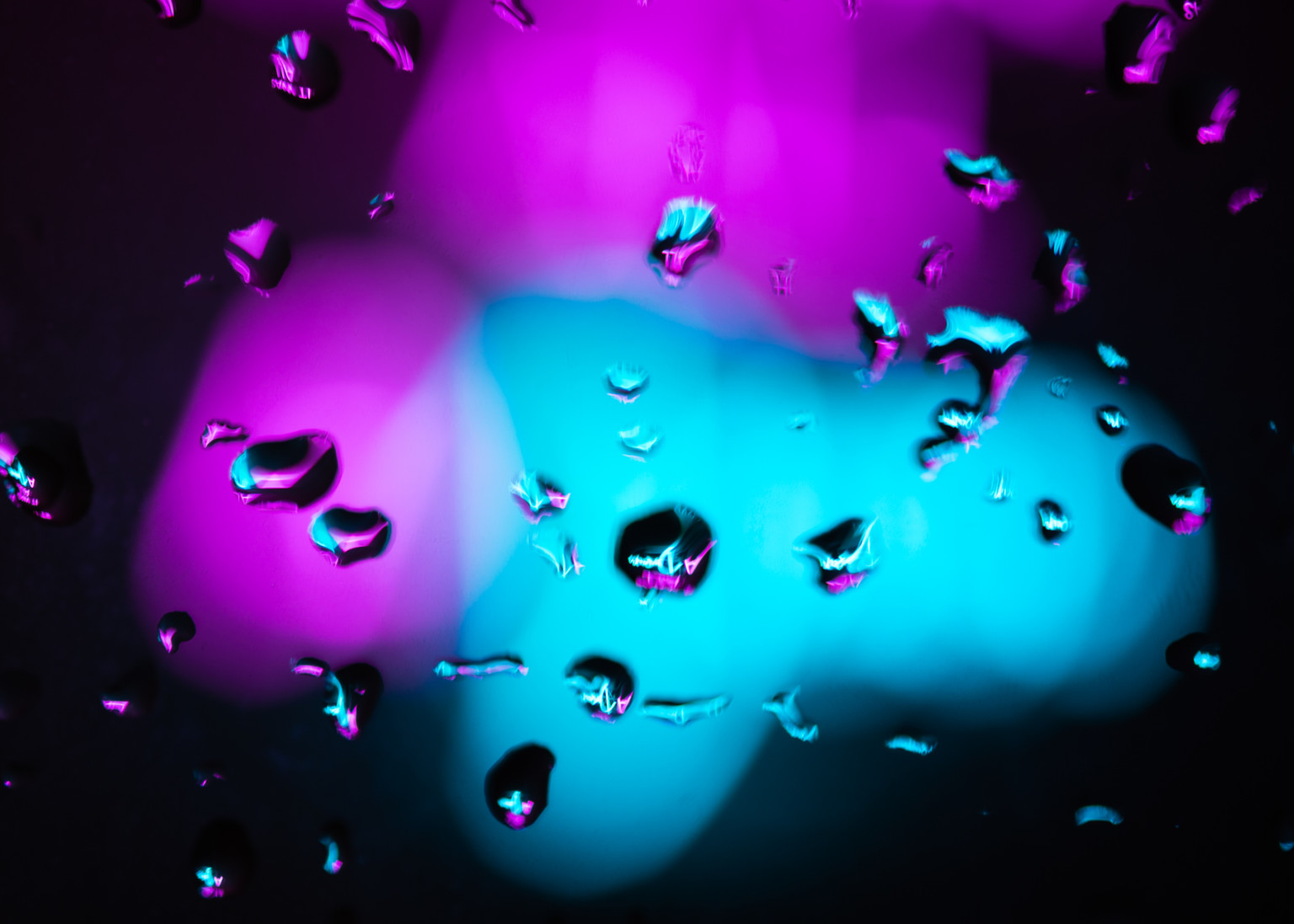 10 Easy Macro Photography Ideas You Can Try at Home | PetaPixel