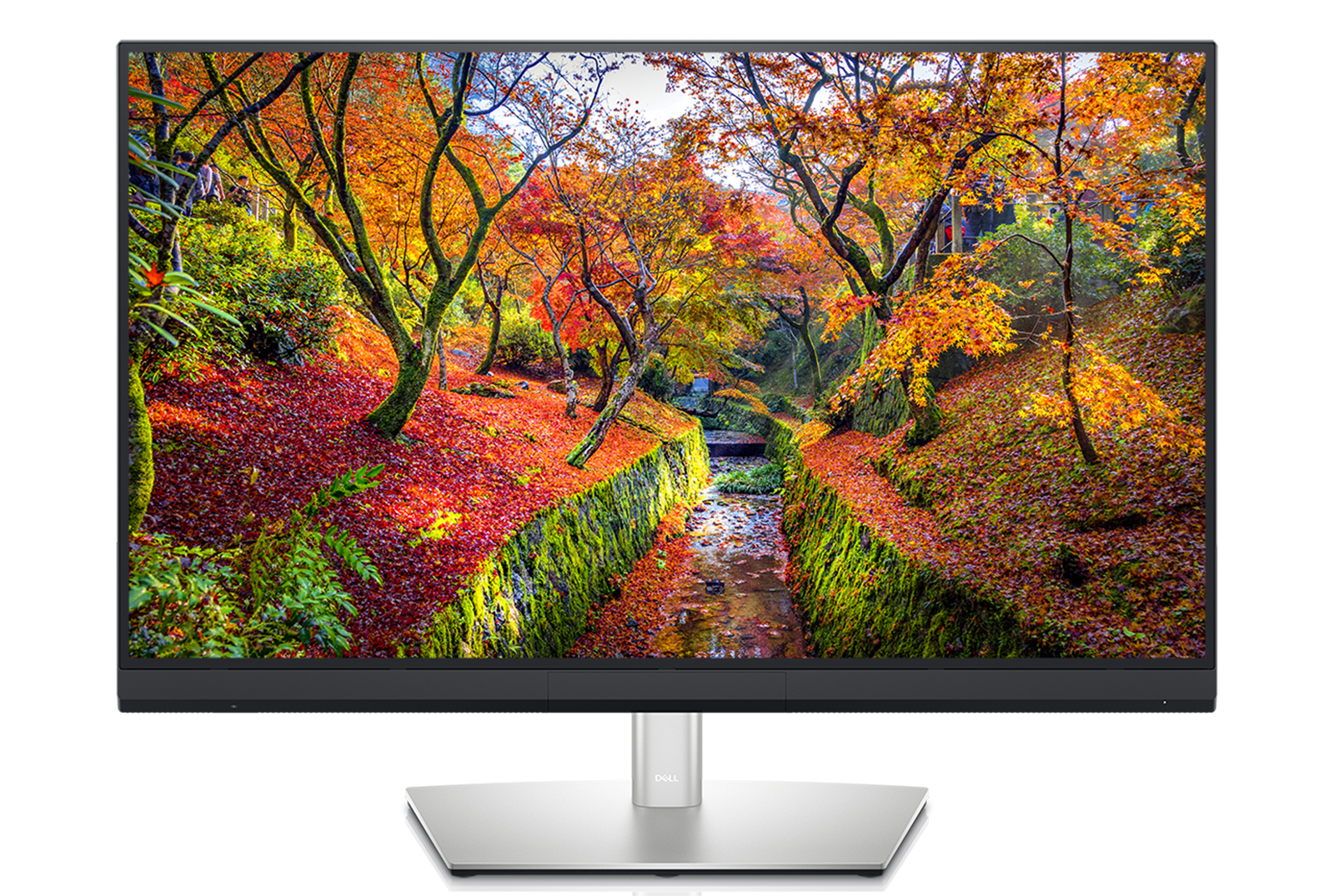 Dell's New $5,000 Monitor for Creatives Can Color Calibrate Itself ...