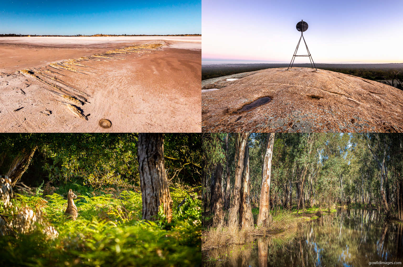 Photographing Every National Park in Victoria, Australia | PetaPixel