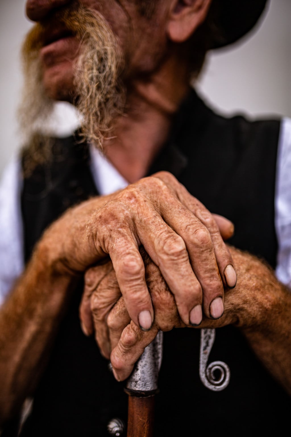Documenting the Life and Culture of Traditional Shepherds in Hungary ...