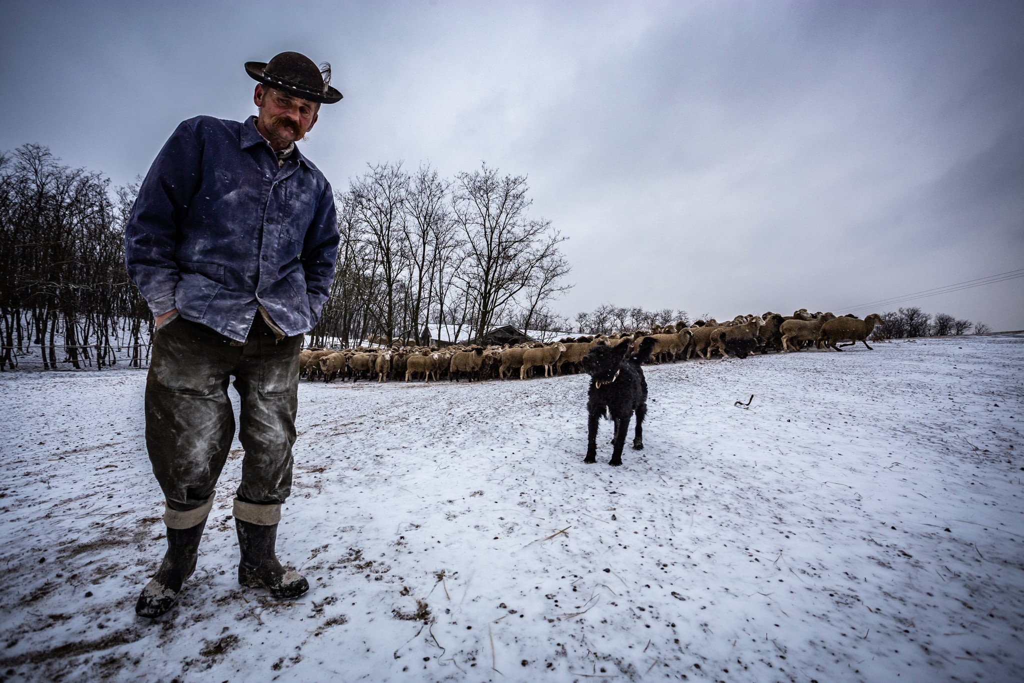 Documenting the Life and Culture of Traditional Shepherds in Hungary ...