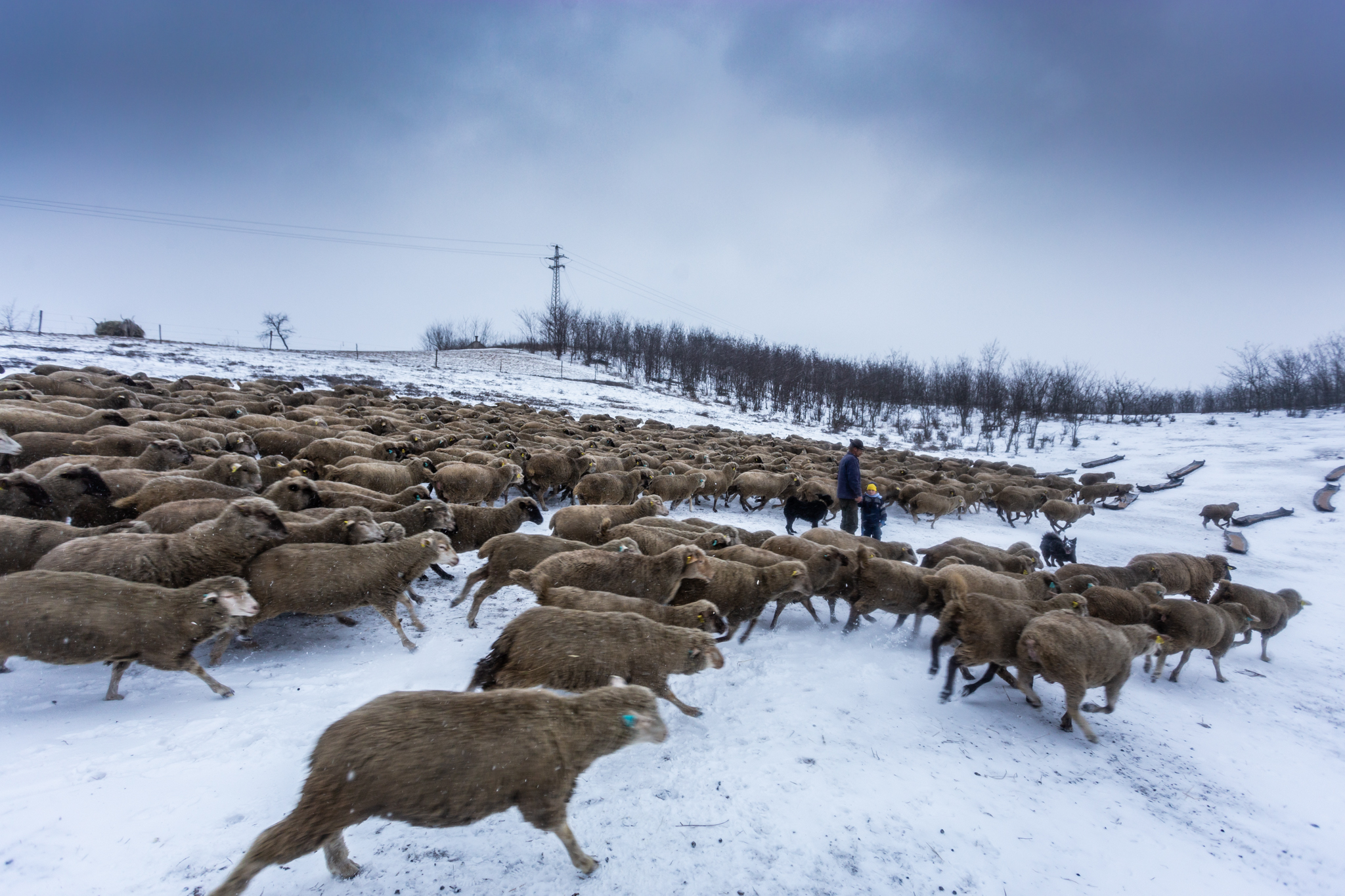 Documenting the Life and Culture of Traditional Shepherds in Hungary ...