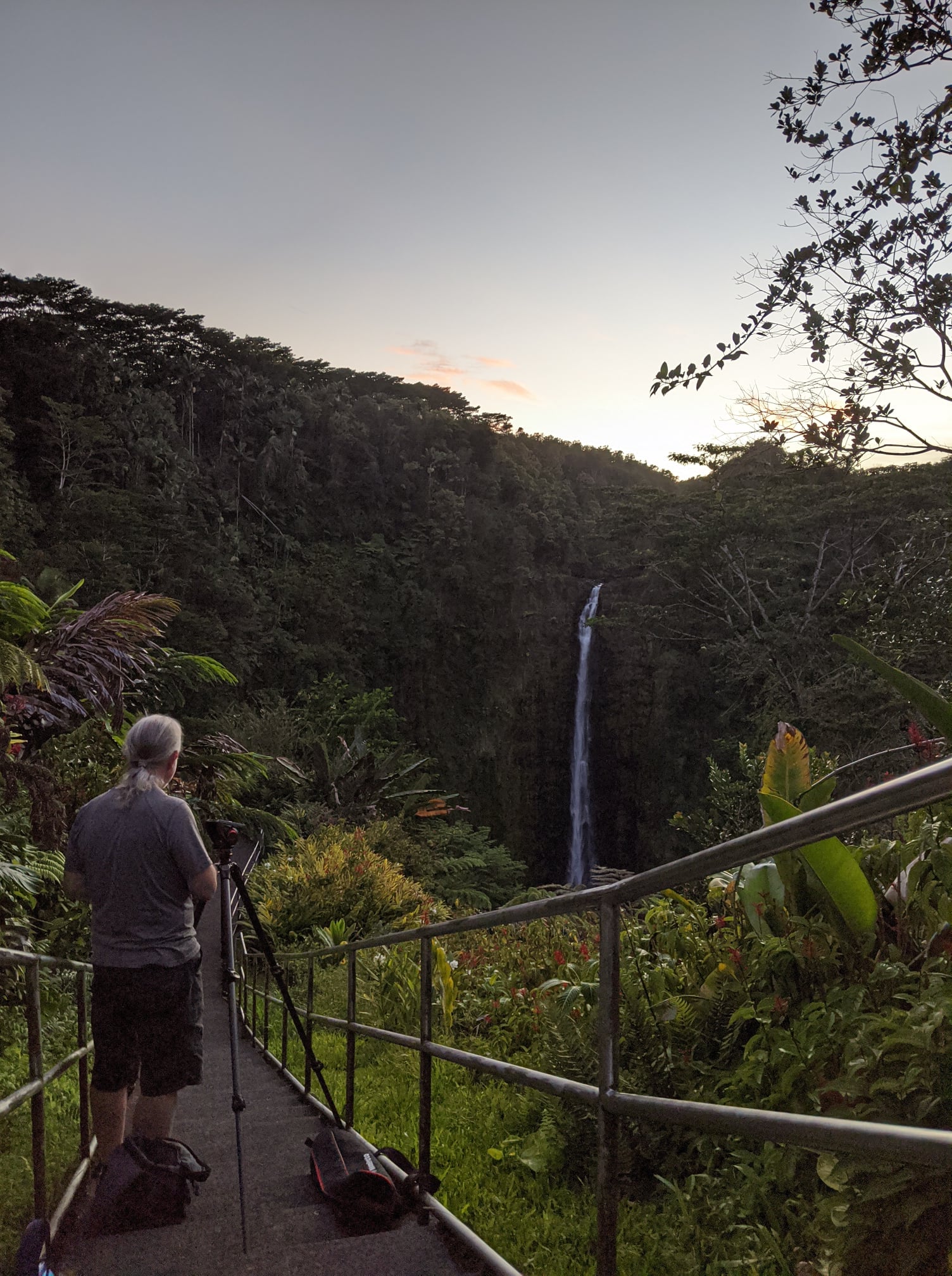 Akaka Falls by Moonlight: How I Got the Shot | PetaPixel