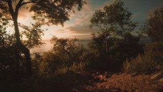 These Free Steam Games Let You Roam Realistic Locations with a Camera ...