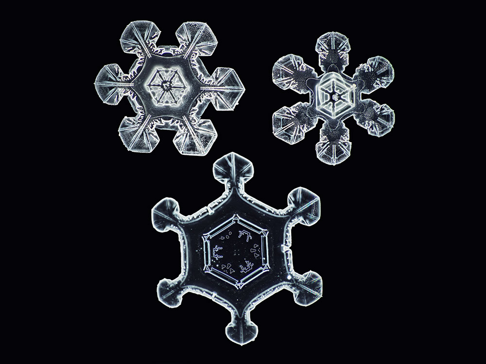 These Are the Highest Resolution Photos of Snowflakes Ever Captured ...
