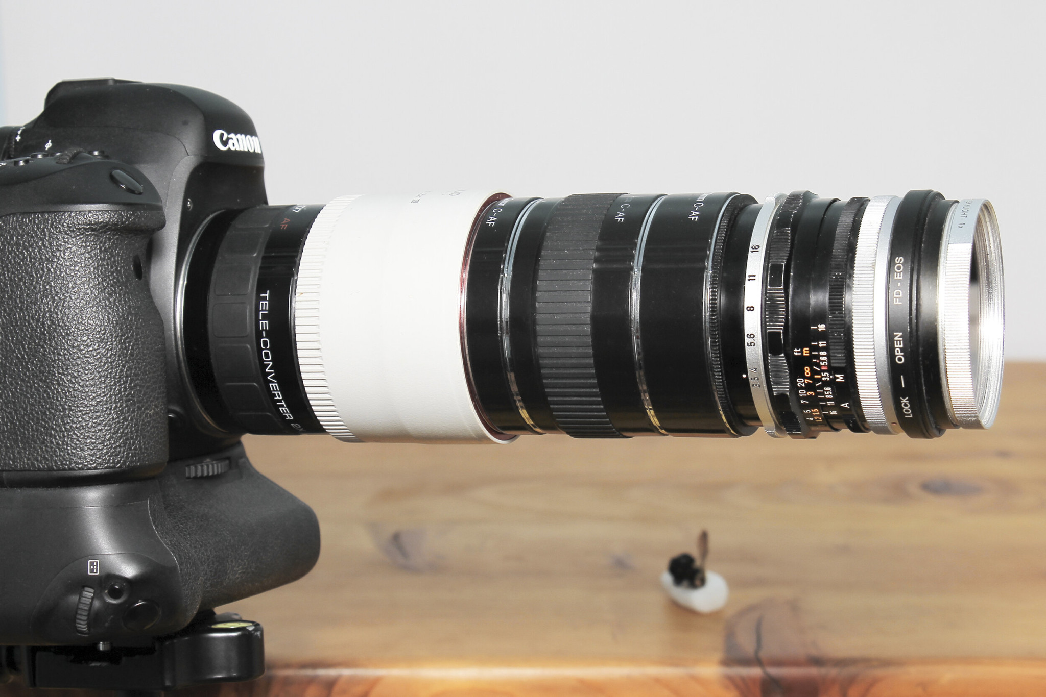 How to Use Teleconverters for Macro Photography | PetaPixel