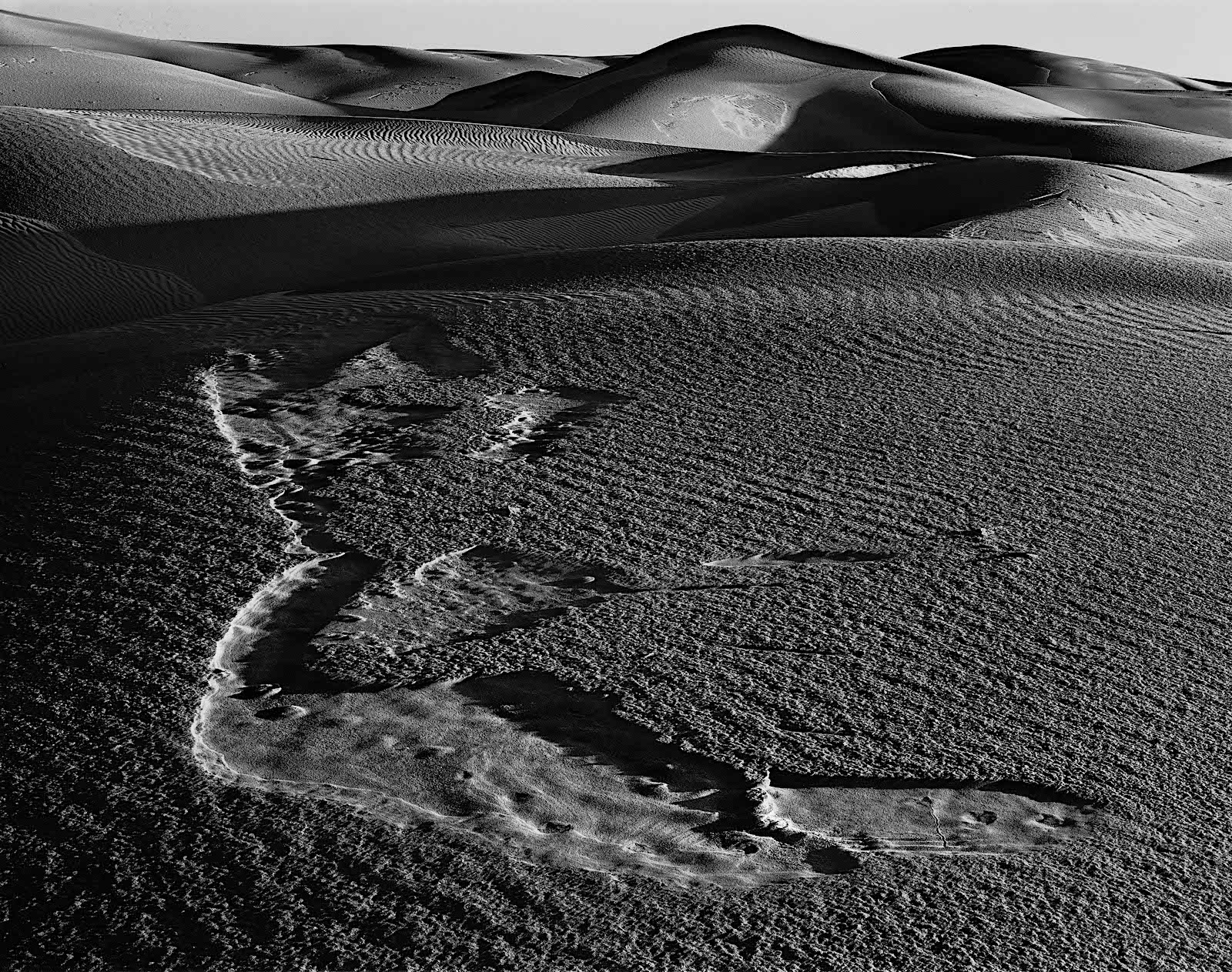 Using Infrared to Reinvent Local Scenes | PetaPixel