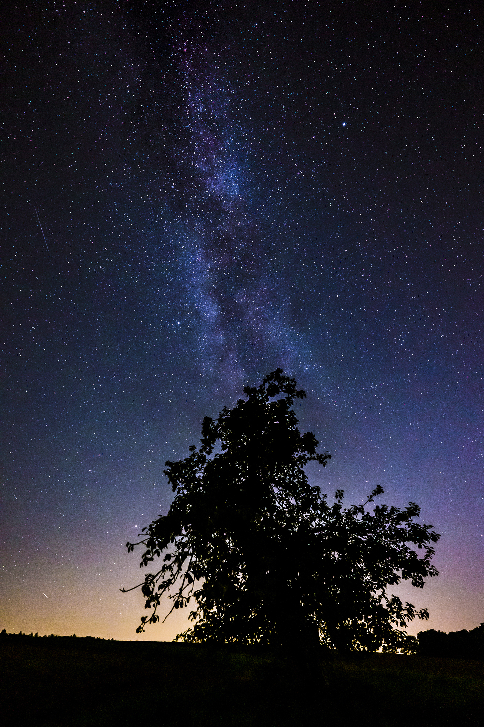 Leica SL2-S is an Action-Focused Camera: 24.6MP BSI Sensor, 25 FPS ...