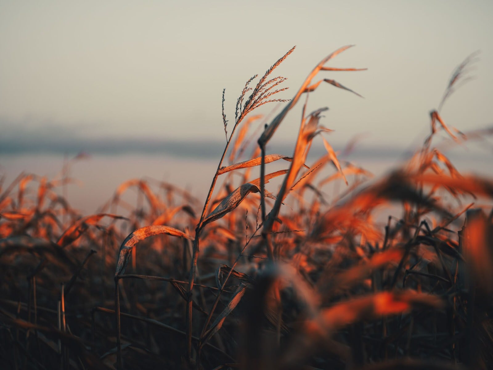 Fuji GFX 100S: I Found the Landscape Photography Camera of My Dreams ...