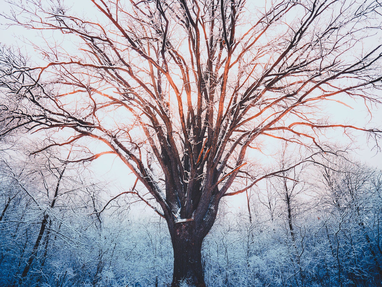 Fuji GFX 100S: I Found the Landscape Photography Camera of My Dreams ...