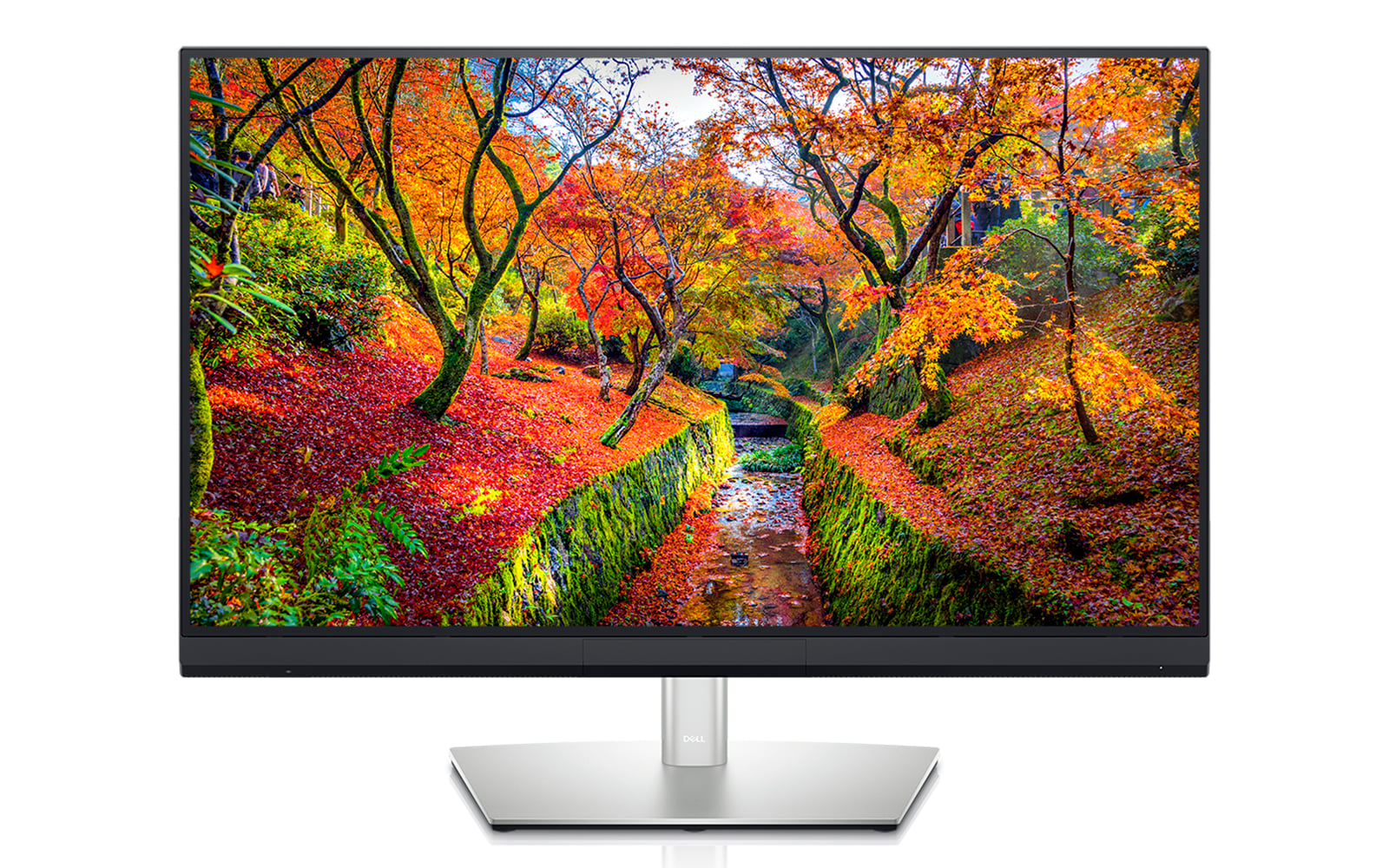 Dell mini-LED 4K HDR Monitor Review: Setting the Bar at $5,000 | PetaPixel