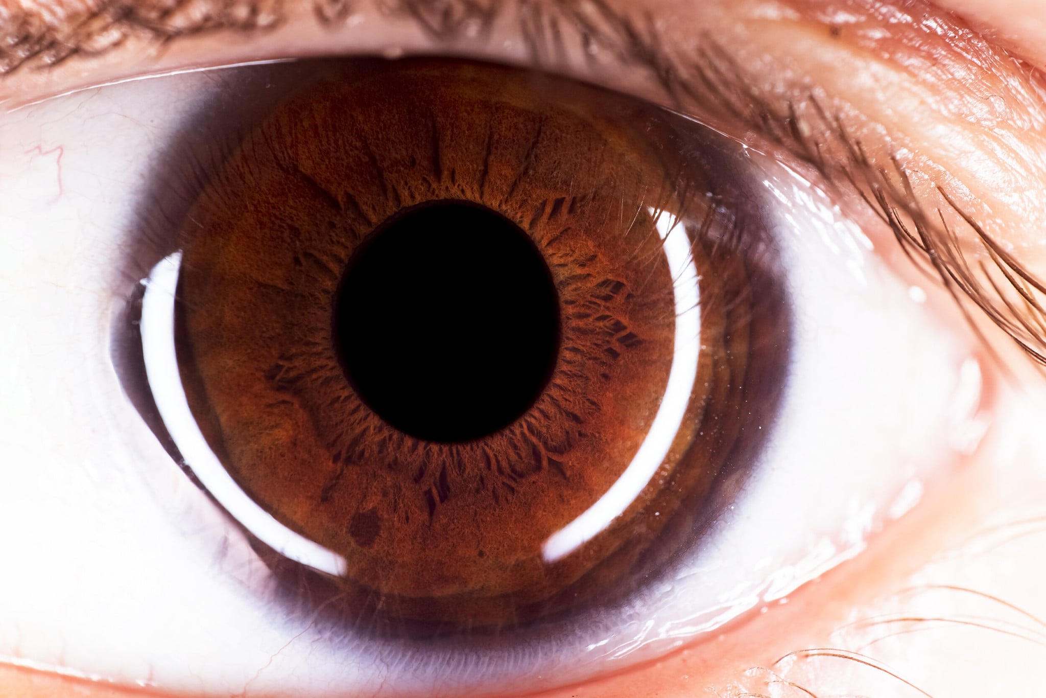 How To Photograph Your Own Eye PetaPixel