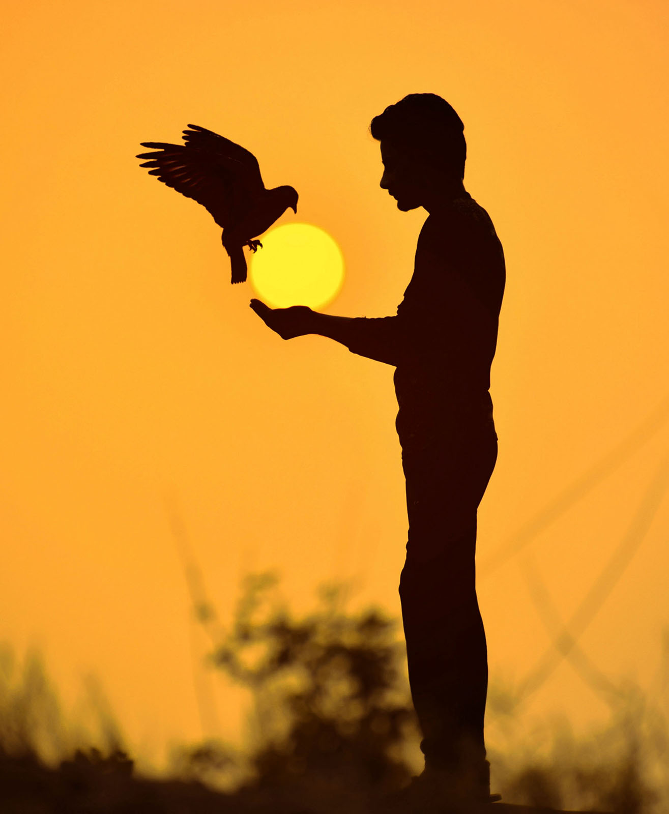 This Photographer Shoots Sun-sational Optical Illusions | PetaPixel