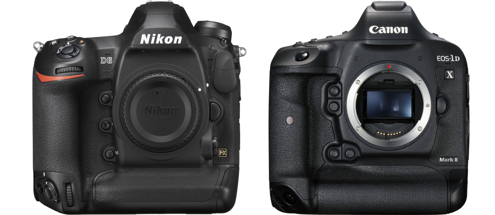 The Sony Alpha 1 is the Most 'Pro' Camera of the Mirrorless Age | PetaPixel