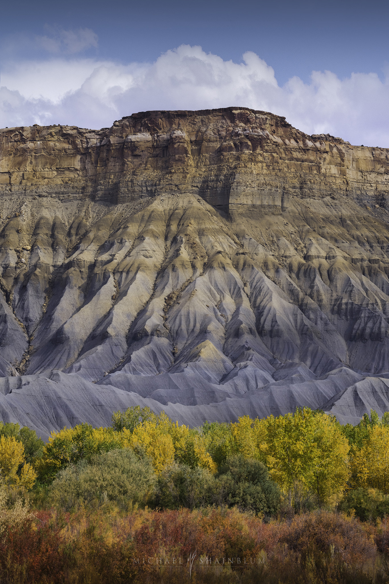 Landscape Photography Tips: How to Best Capture Trees and Forests ...
