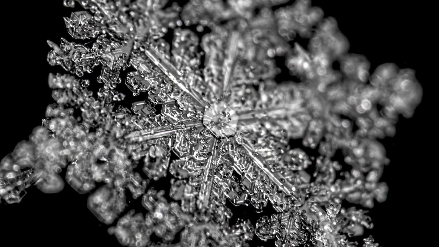 How to Easily Capture High-Detail Snowflake Photos at Home | PetaPixel