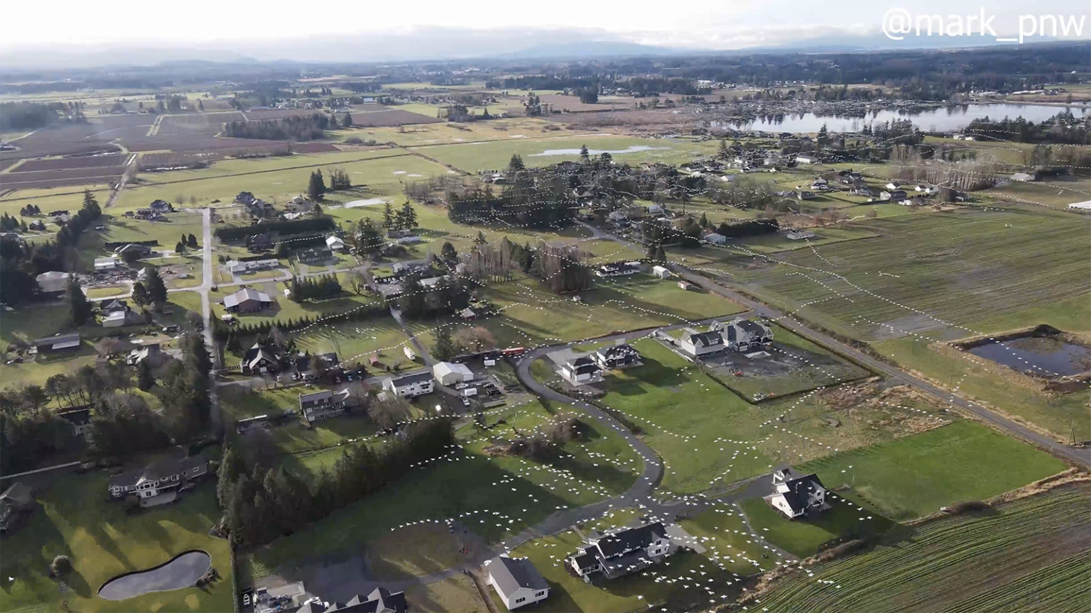 Drone Captures Flock of Geese From Rare Overhead Angle | PetaPixel