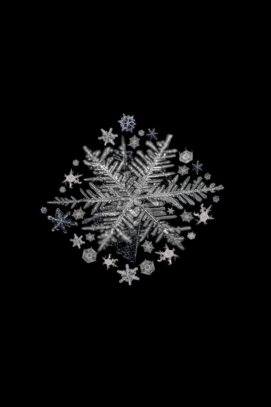 How to Easily Capture High-Detail Snowflake Photos at Home | PetaPixel