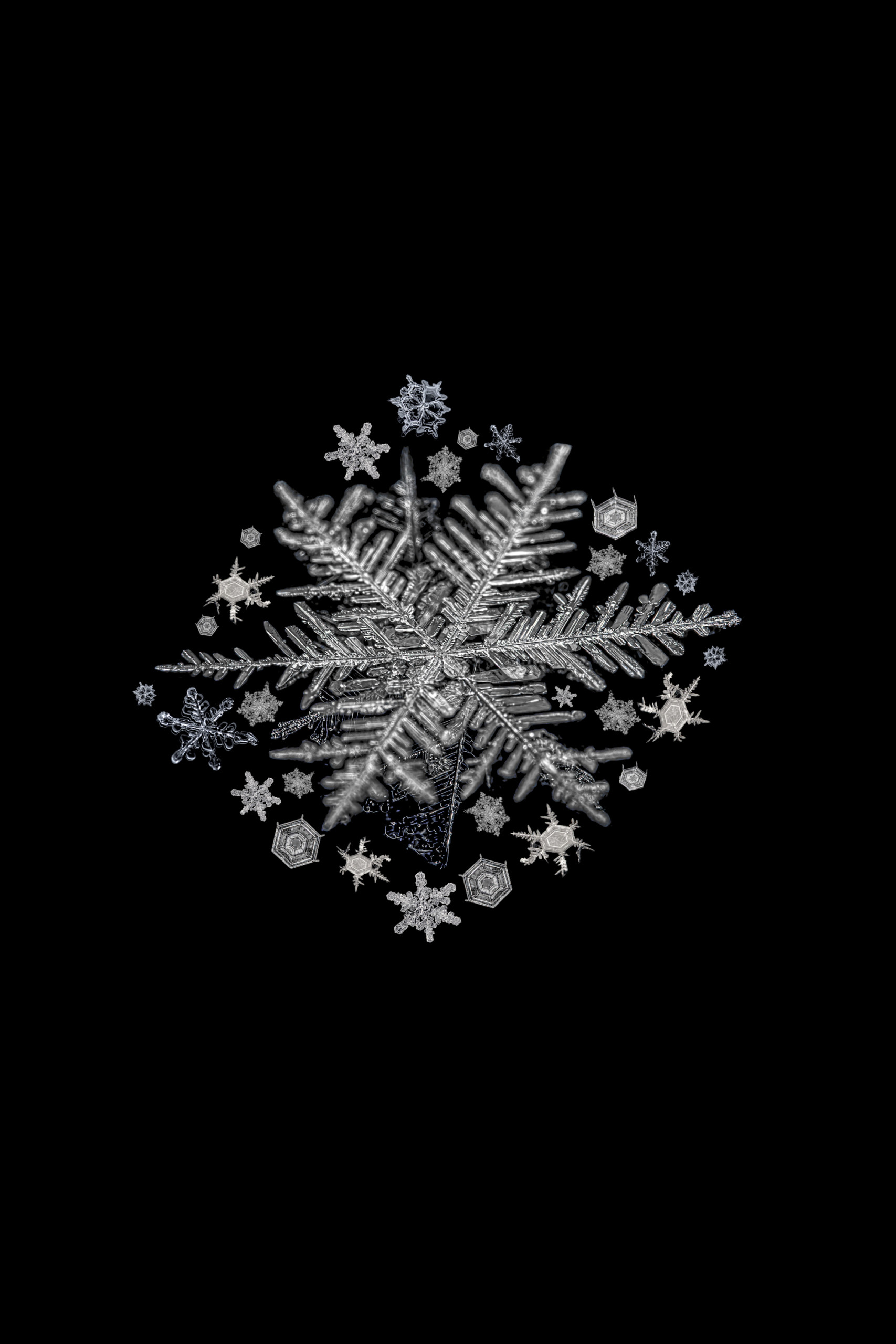 How to Easily Capture High-Detail Snowflake Photos at Home | PetaPixel