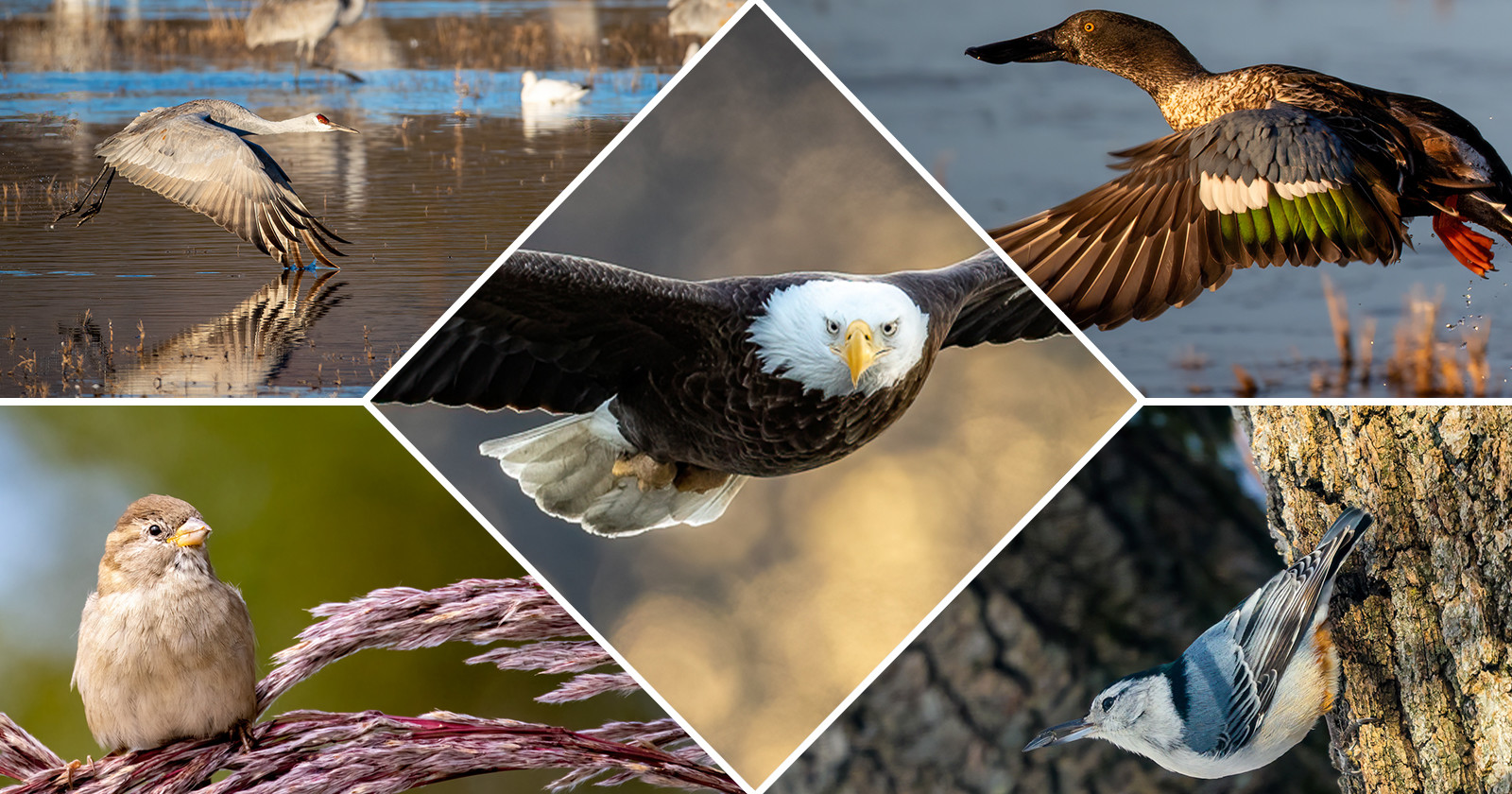 PetaPixel | Page 291 of 1281 | Photography and Camera News, Reviews ...