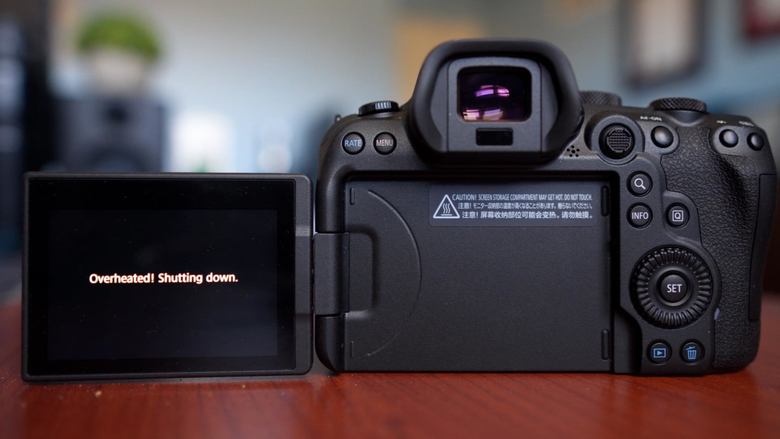 Canon 5D Mark IV Versus EOS R6: Which is Better? | PetaPixel