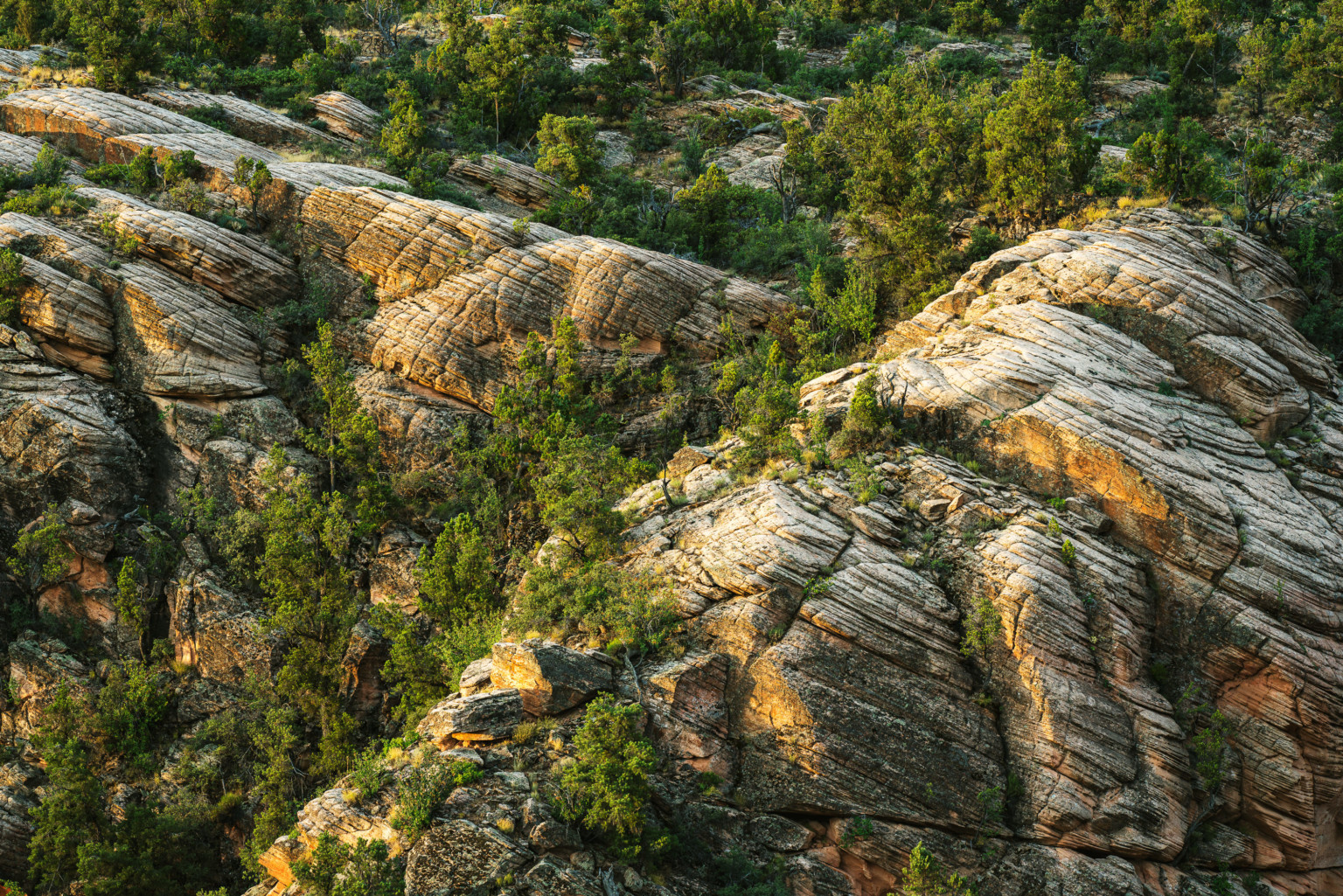 Making the Case for Prime Lenses in Landscape Photography | PetaPixel