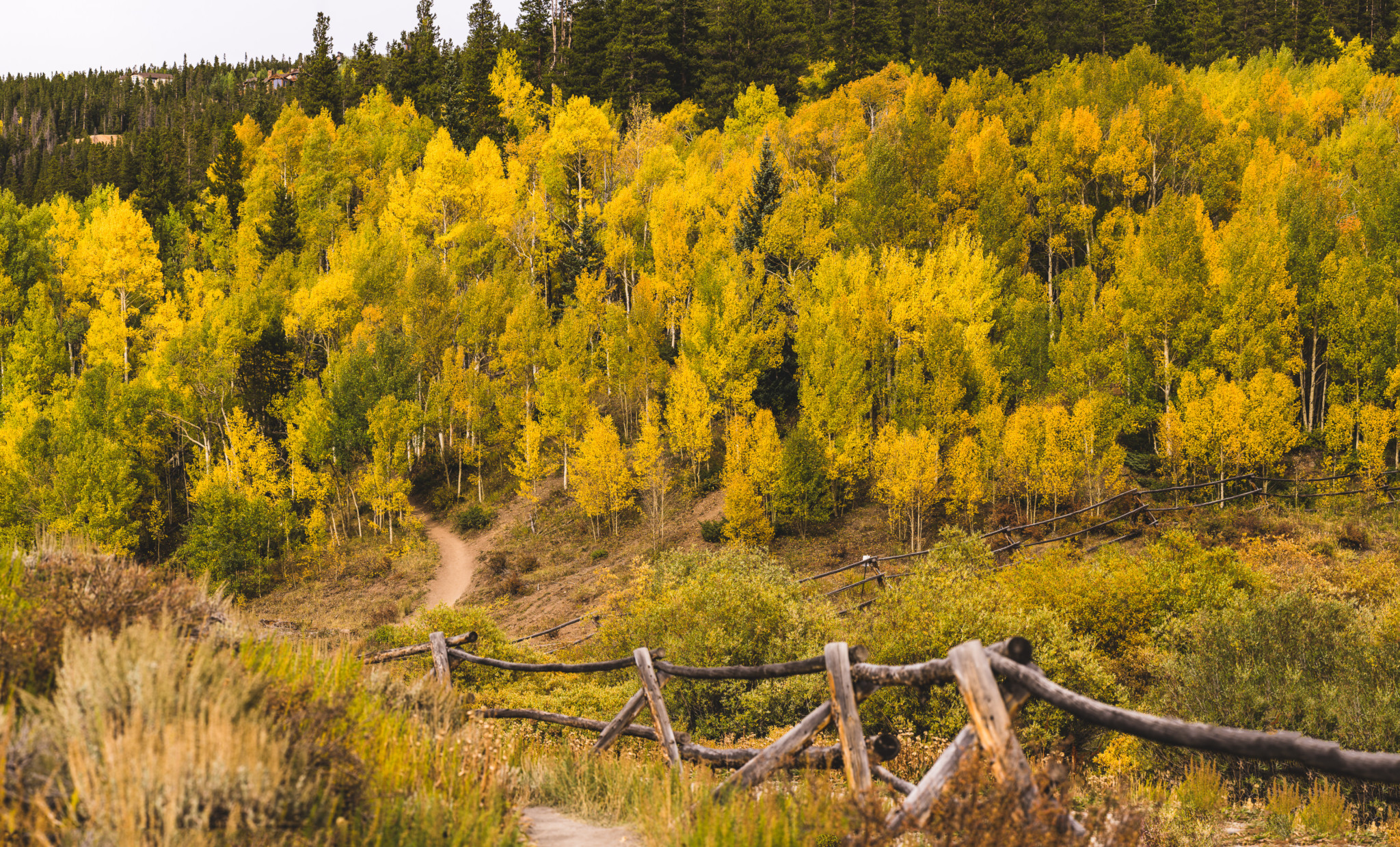 Making the Case for Prime Lenses in Landscape Photography | PetaPixel