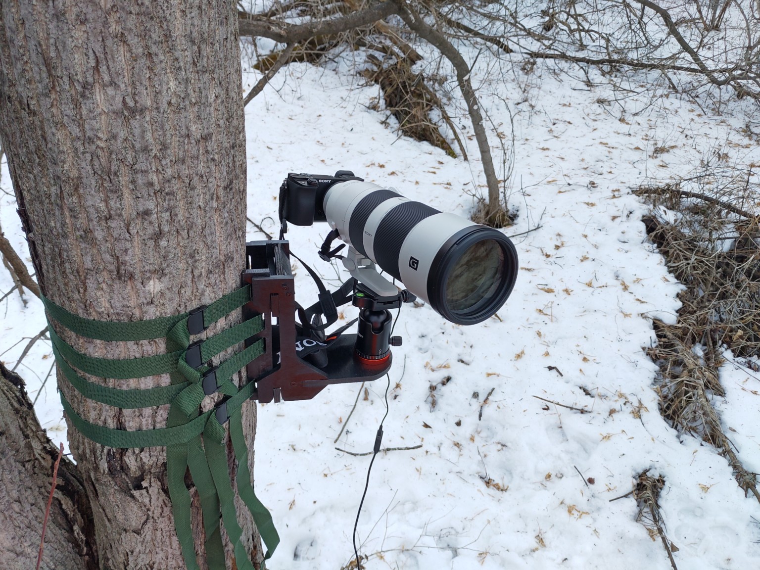 This 'Ultimate' Camera Trap Features a Sony 200-600mm Lens | PetaPixel