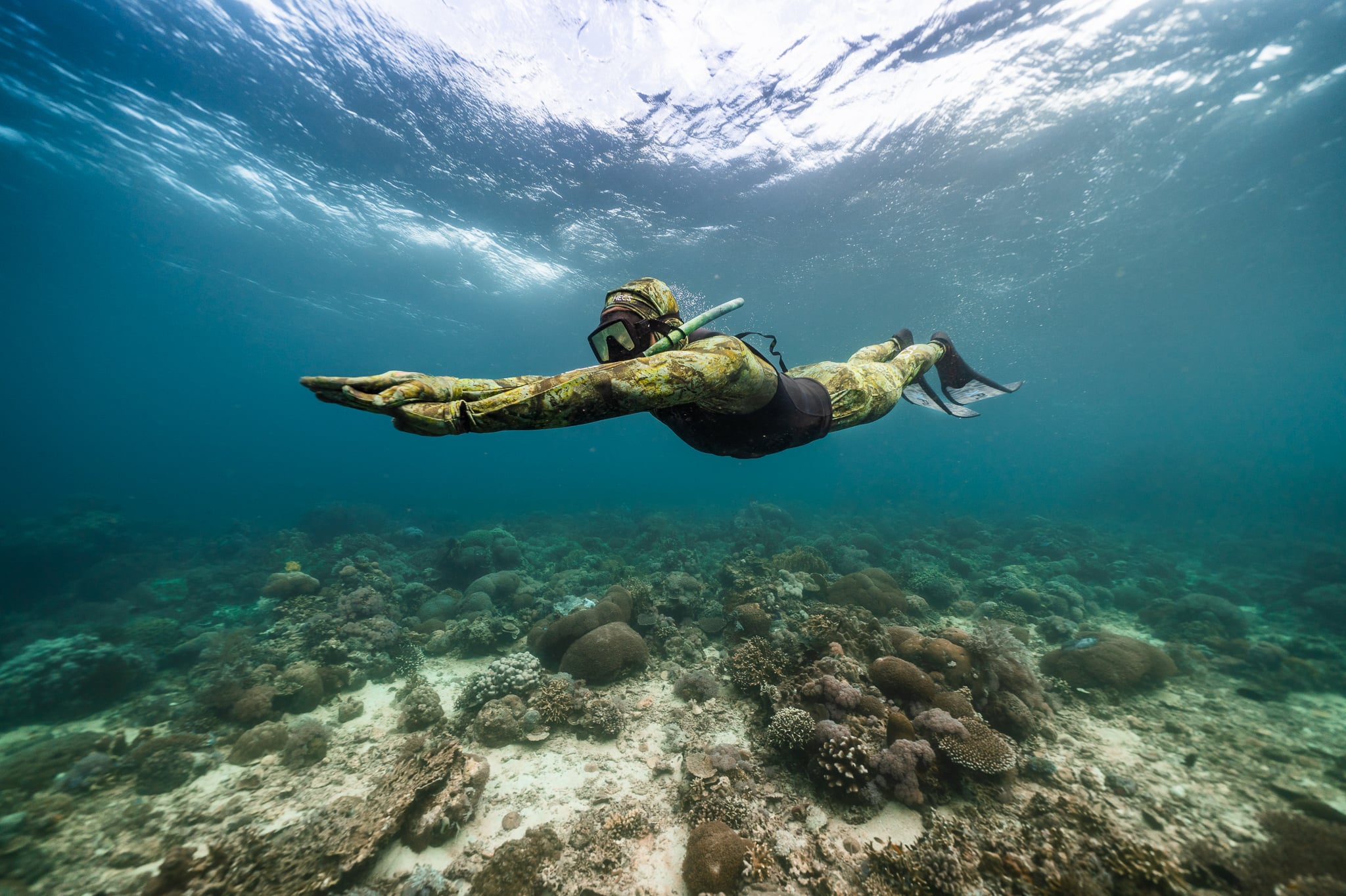 Diver Captures Beautiful Nighttime Underwater Photos and Slo-Mo Video ...