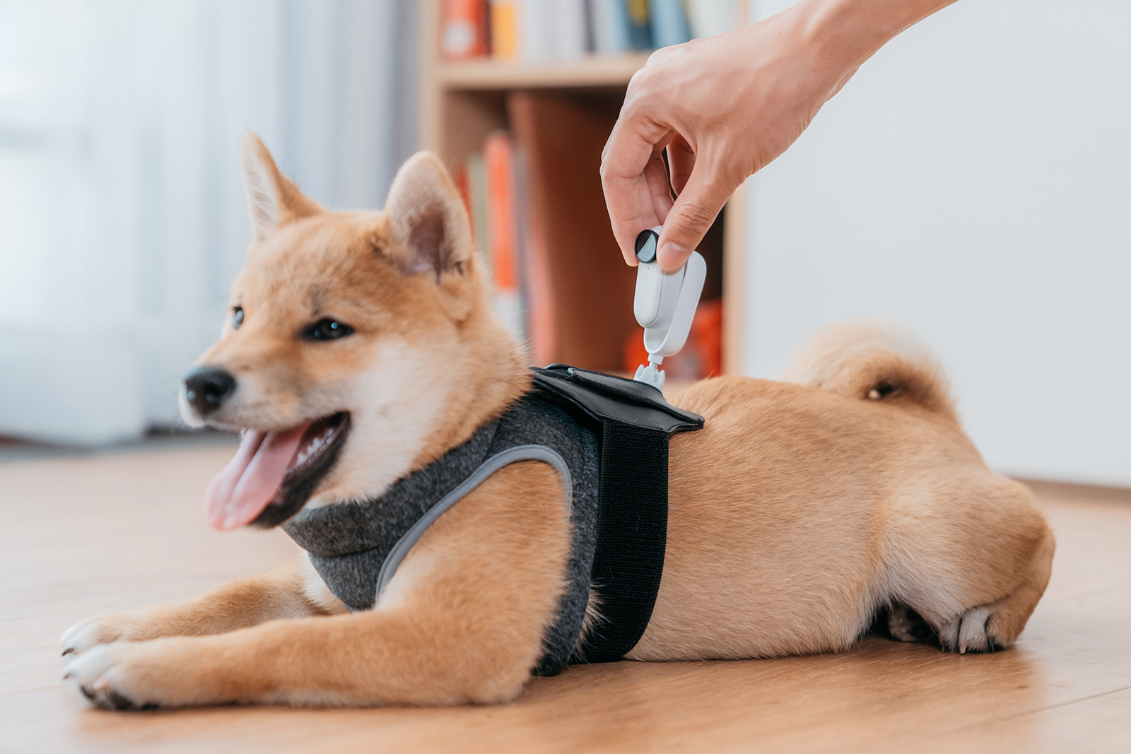 Insta360 Announces the Go 2: The World's Smallest Action Camera | PetaPixel