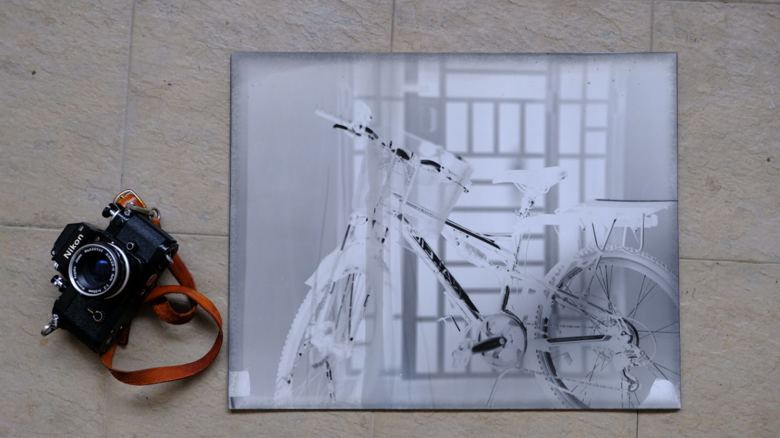 Building a 16x20 Camera with a Giant Aerial Lens and Cardboard | PetaPixel