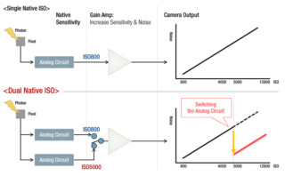 What's the Difference? Native VS Base VS Expanded ISO Explained | PetaPixel