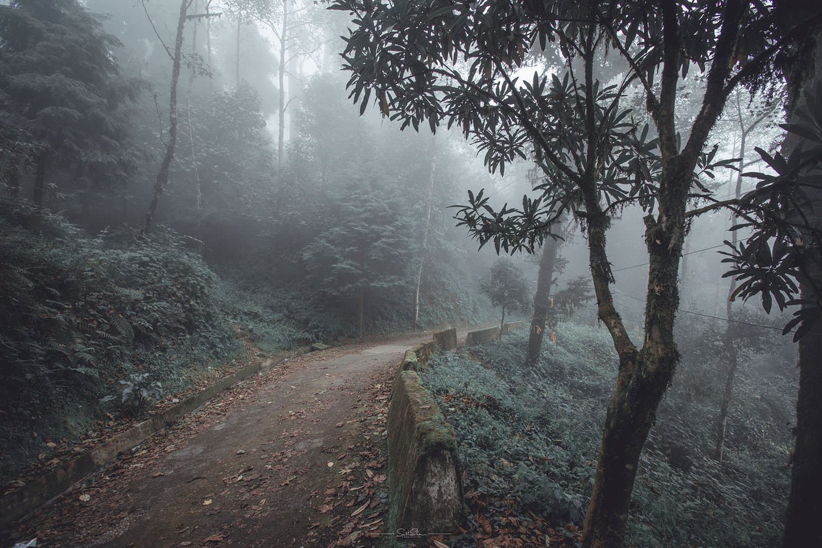 10 Basic Landscape Photography Tips | PetaPixel