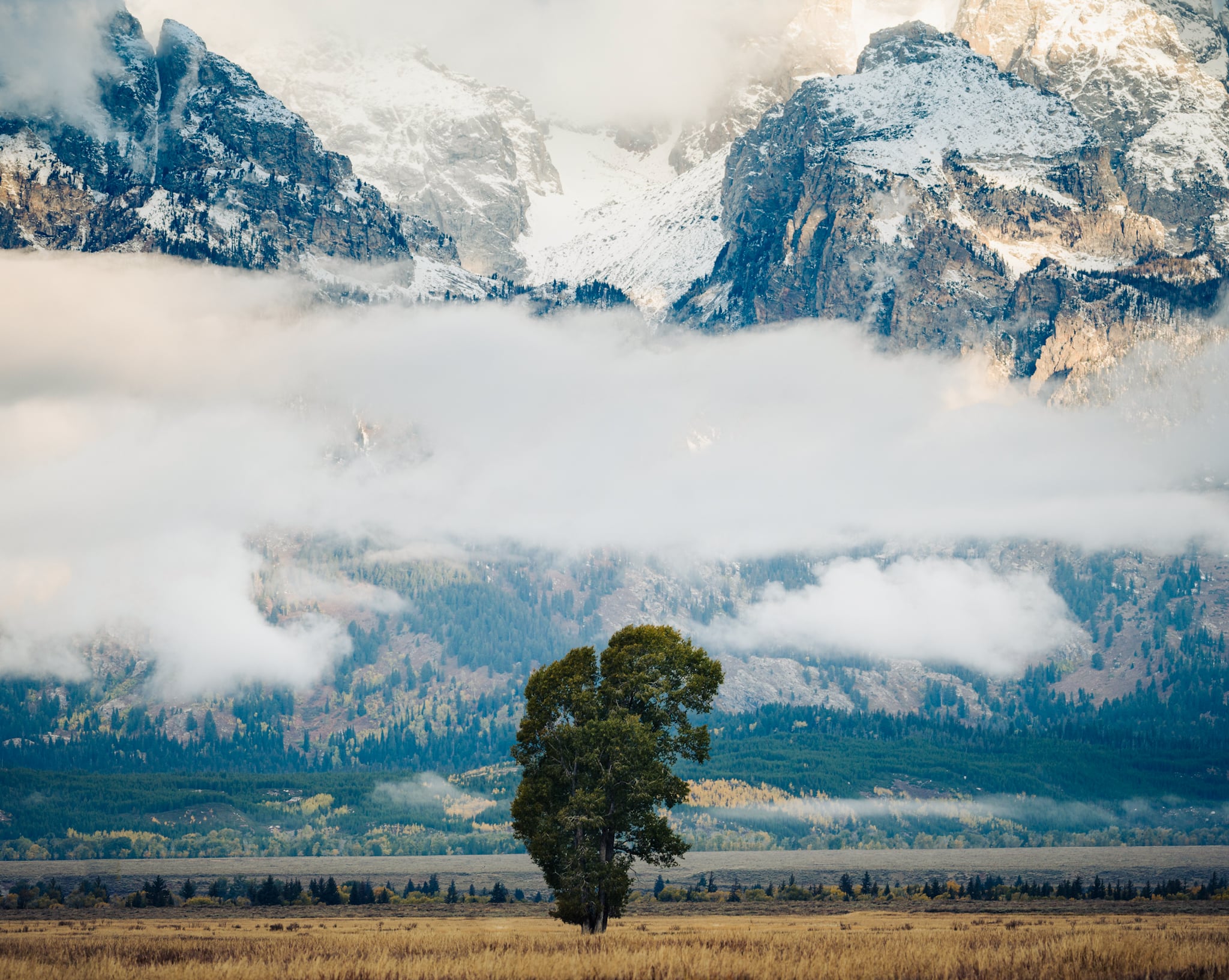 Add Impact to Your Photos with Free Transform in Adobe Photoshop ...