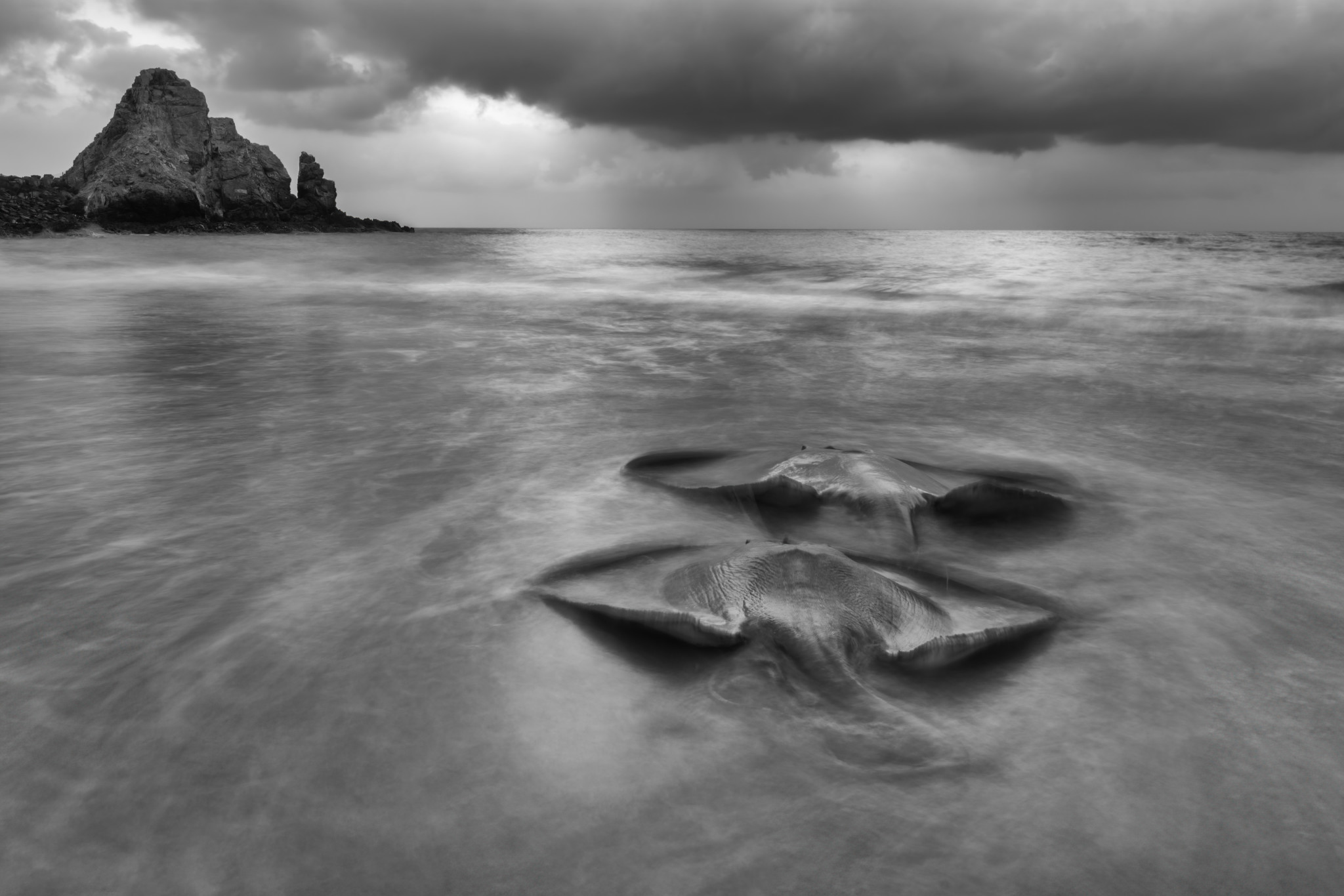 WildArt Photographer of the Year Unveils Winners of its 'Wet ...