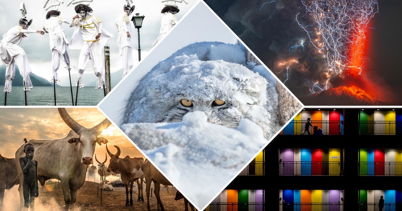 These are the Winners of the 2020 Photo is Light Competition | PetaPixel