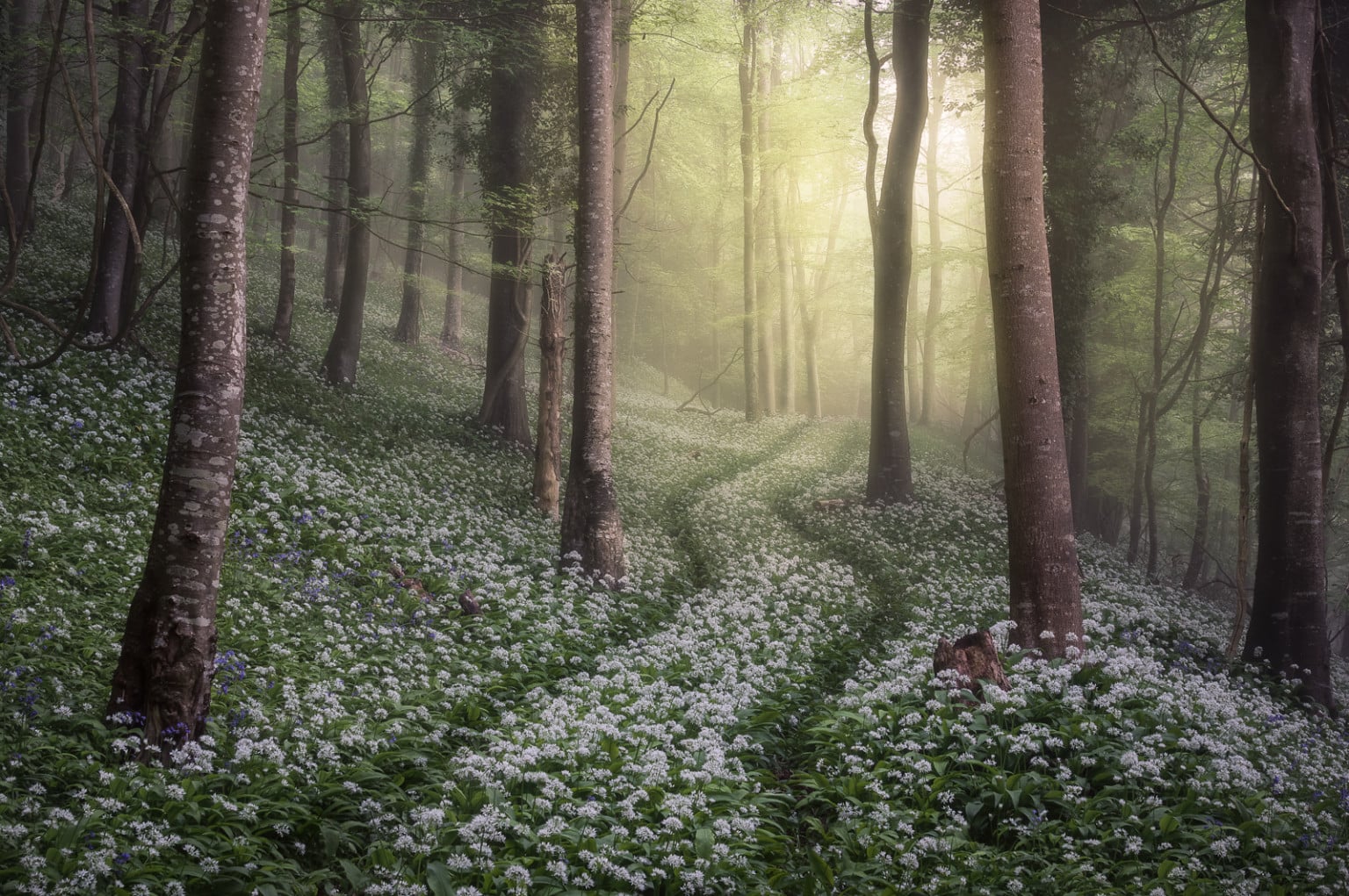 How the 2020 Landscape Photographer of the Year Photo Was Taken | PetaPixel