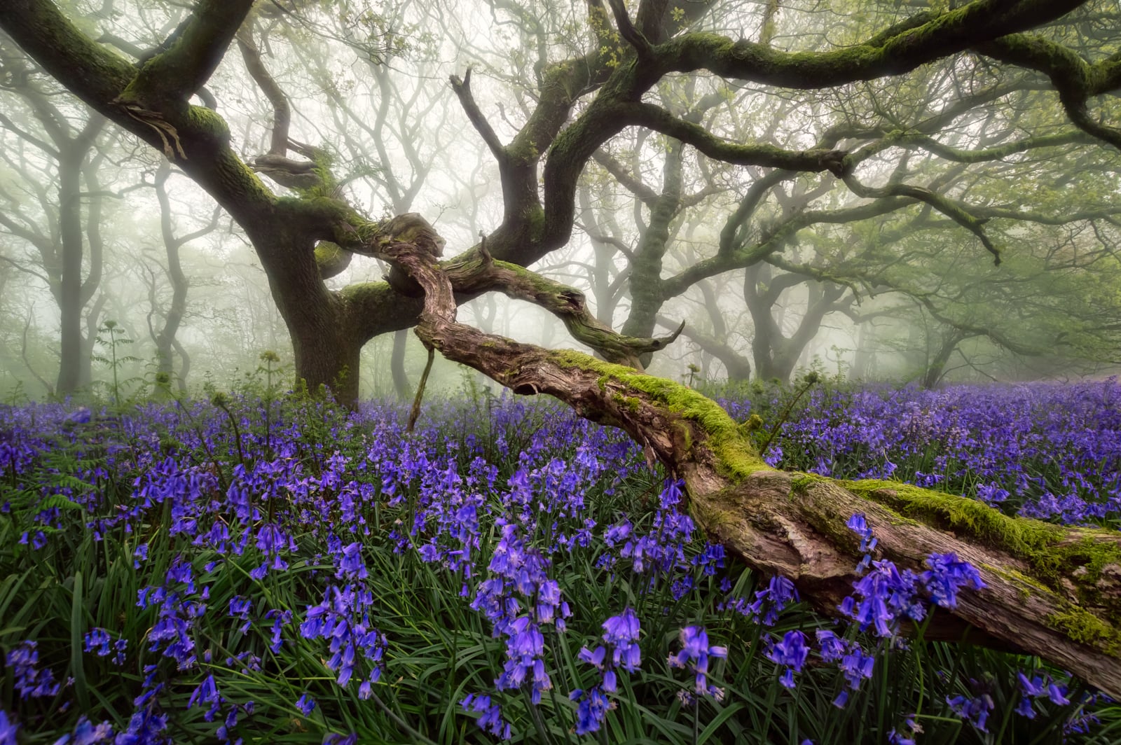 How the 2020 Landscape Photographer of the Year Photo Was Taken | PetaPixel