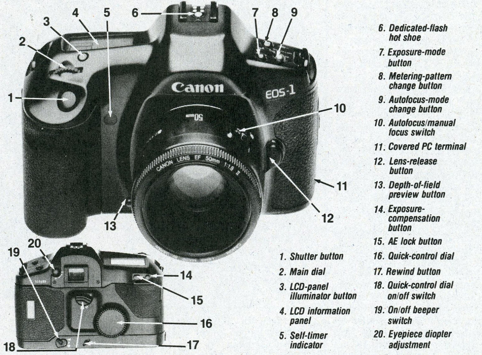 A Look Back at the Canon EOS-1, the First Pro EOS Camera - Top Tech News