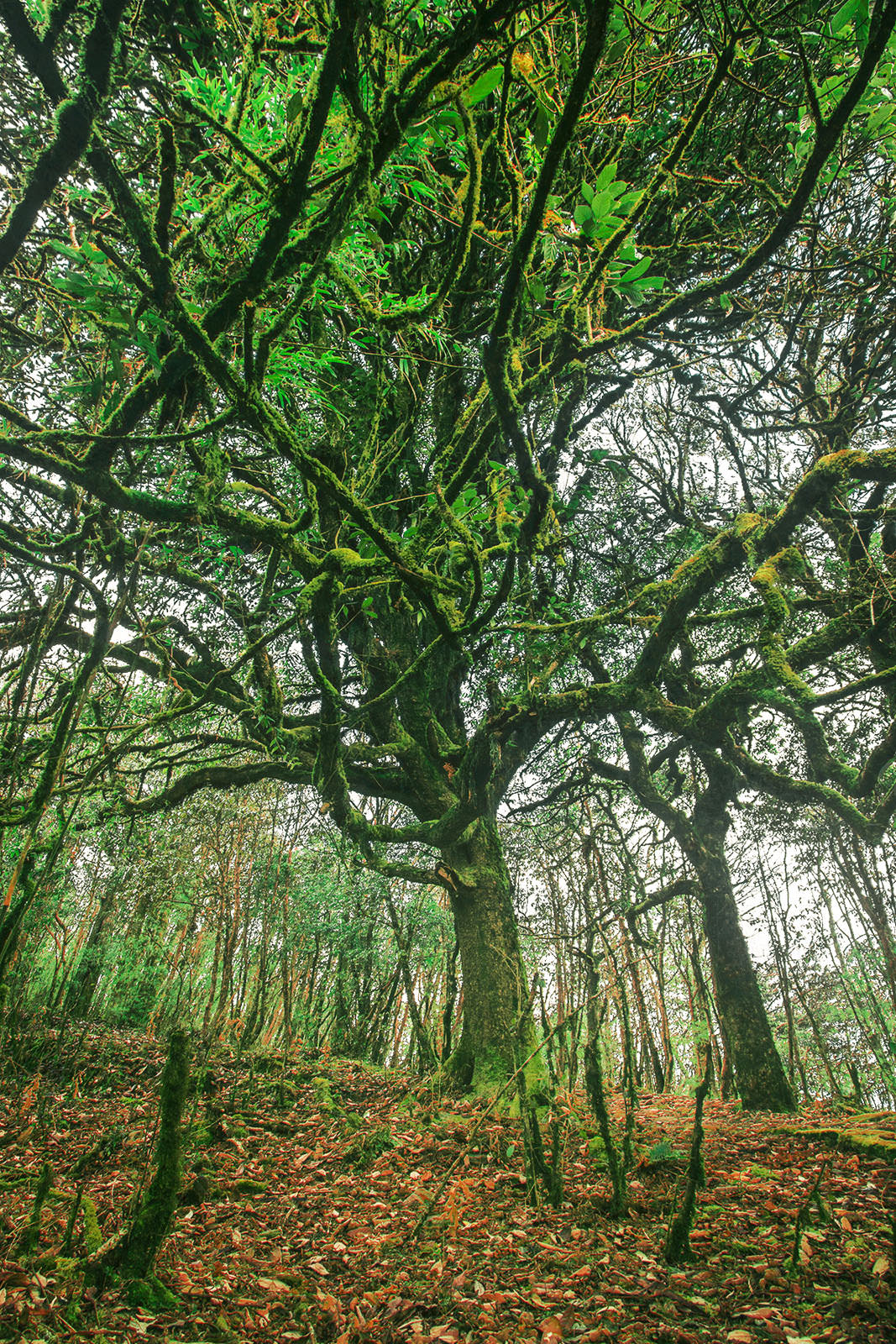 10 Tips for Wide-Angle Landscape Photography | PetaPixel