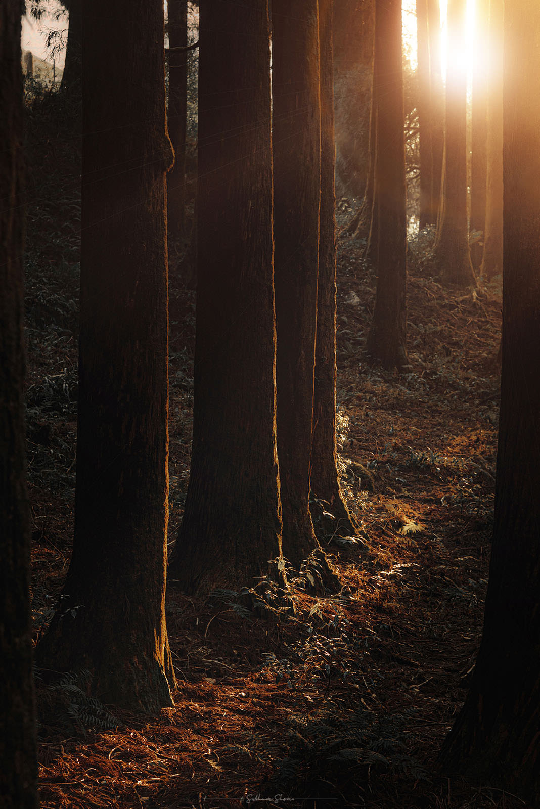 5 Tips to Dramatically Improve Golden Hour Landscapes | PetaPixel