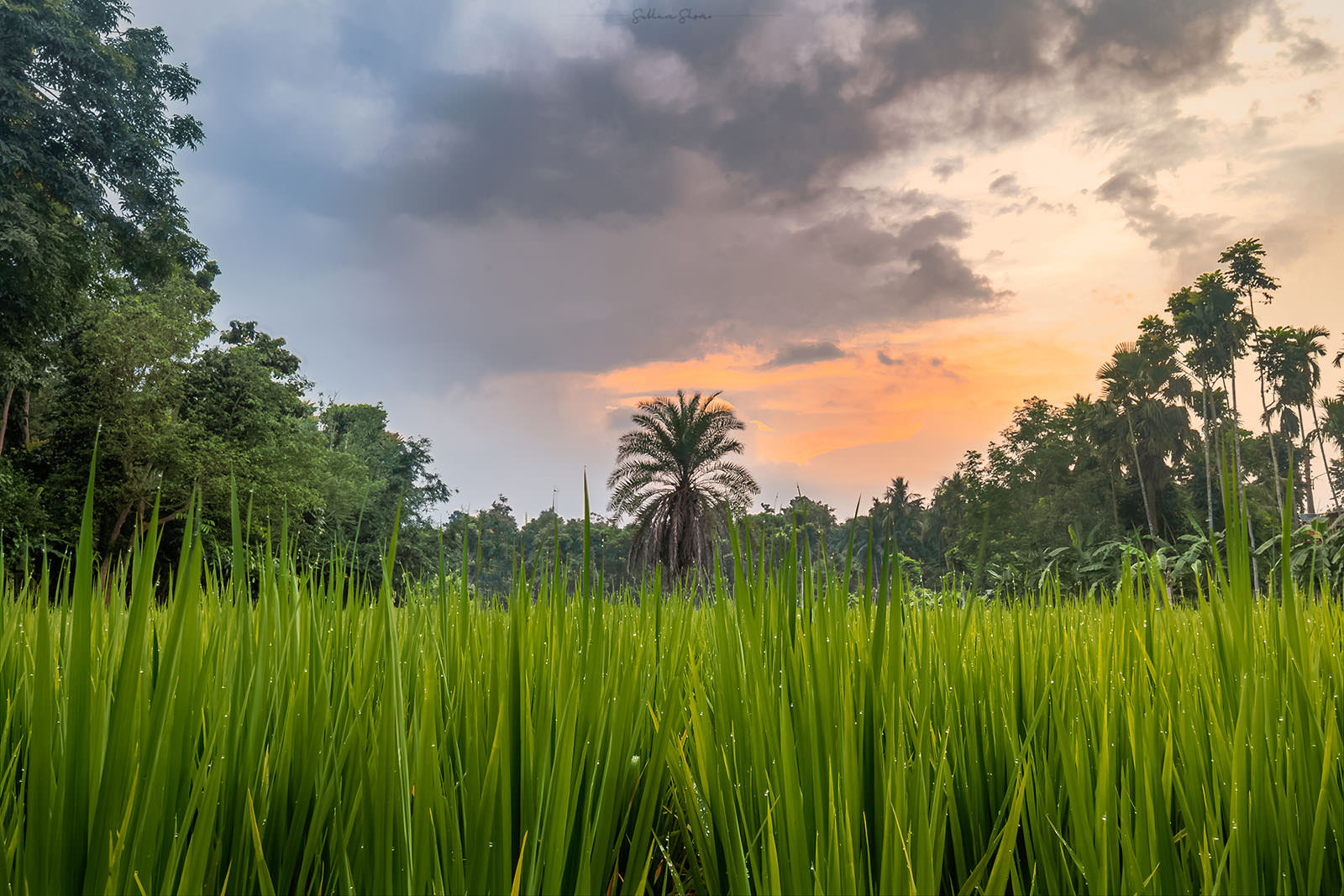 10 Tips for Wide-Angle Landscape Photography | PetaPixel