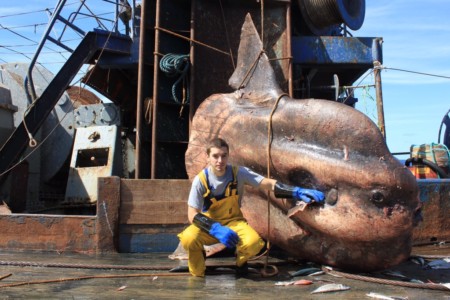 Russian Fisherman Shares Scary Photos of Deep-Sea Creatures | PetaPixel