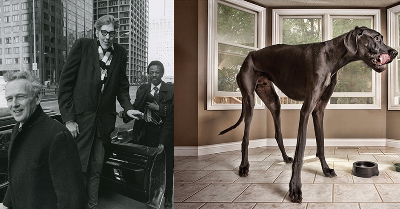 13 of the Guinness World Records' Most Iconic Records, in Photos ...