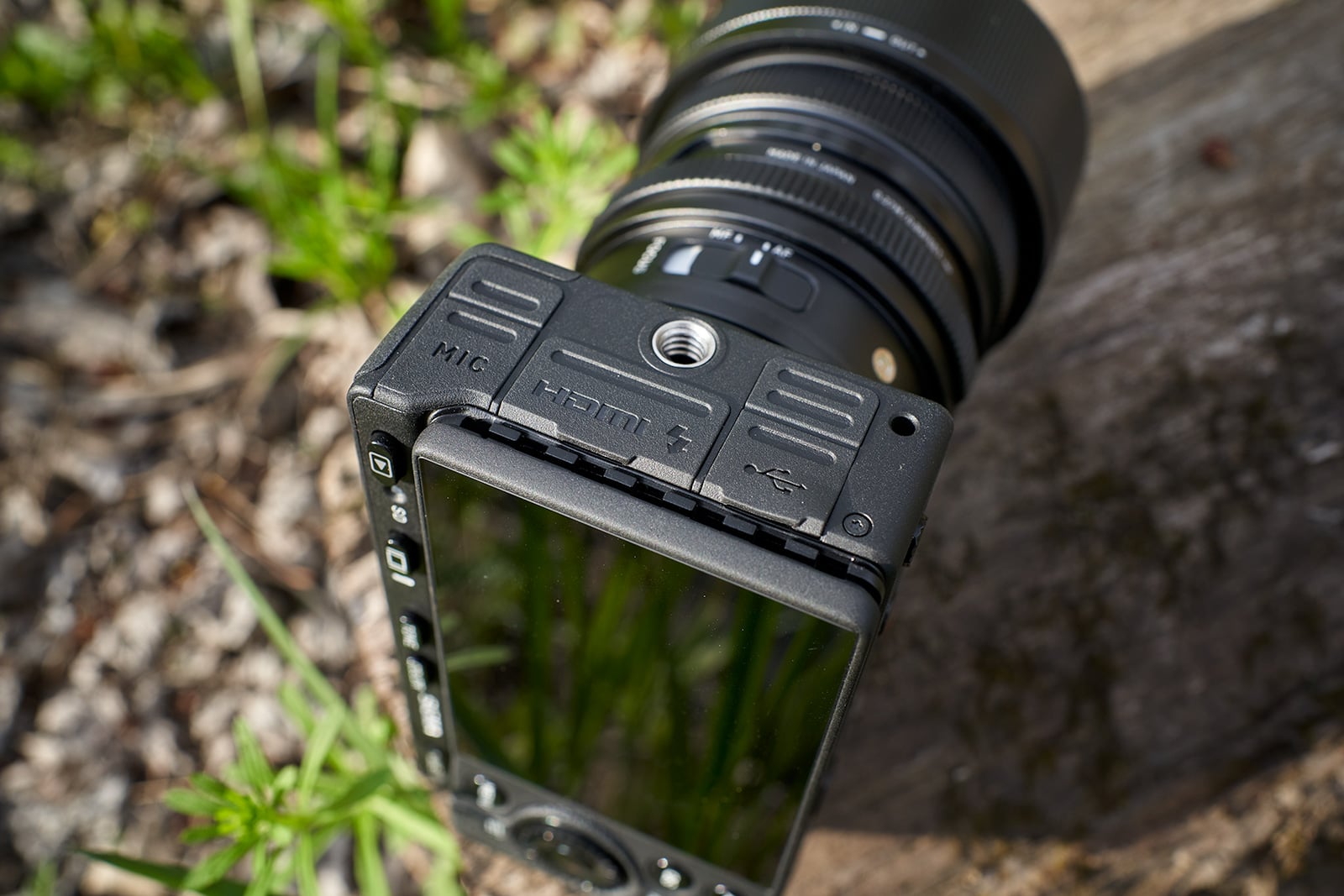 Sigma fp L Camera Review: Does Size Really Matter? | PetaPixel